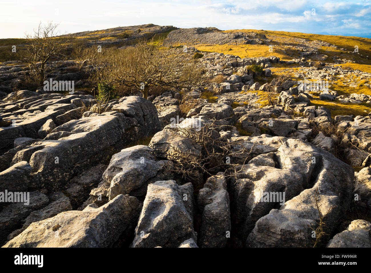 Limestone pavement on Farleton Fell South Lakeland Cumbria Stock Photo ...