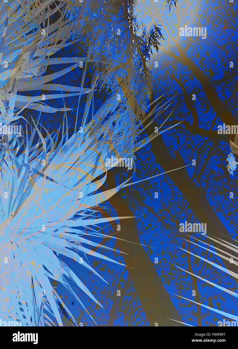 Modern abstract graphic design digital art concept creative Stock Photo ...