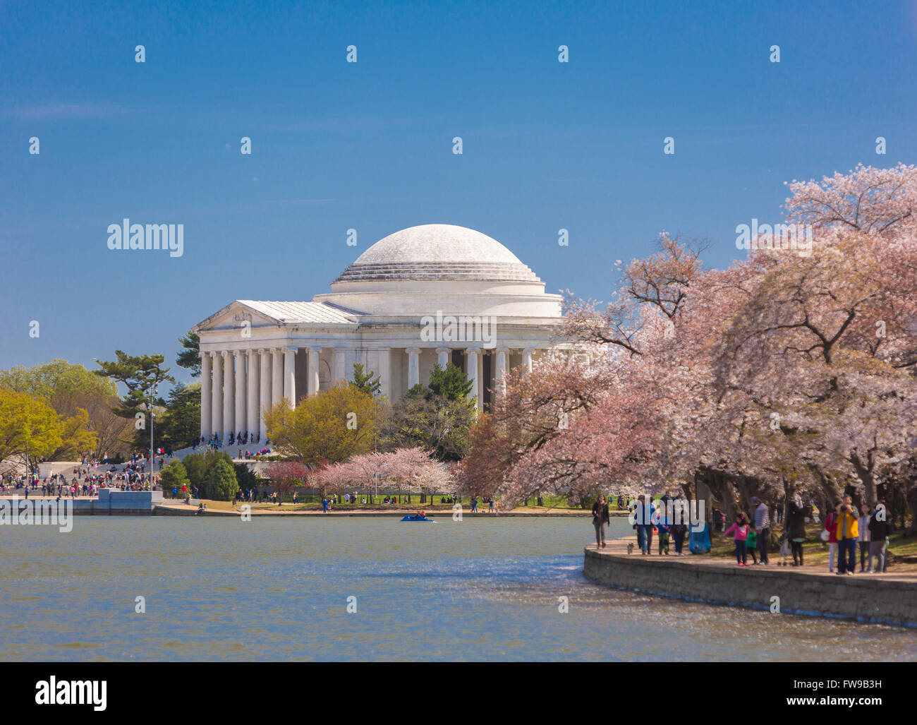 WASHINGTON, DC, USA - Thomas Jefferson Memorial and cherry trees ...