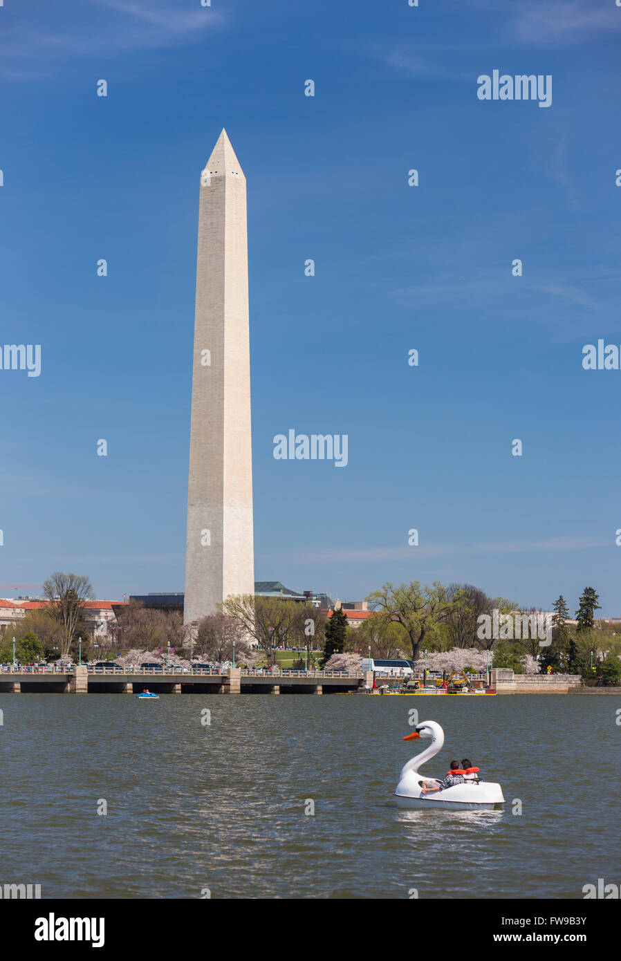 Tidal basin paddle boats hi-res stock photography and images - Alamy