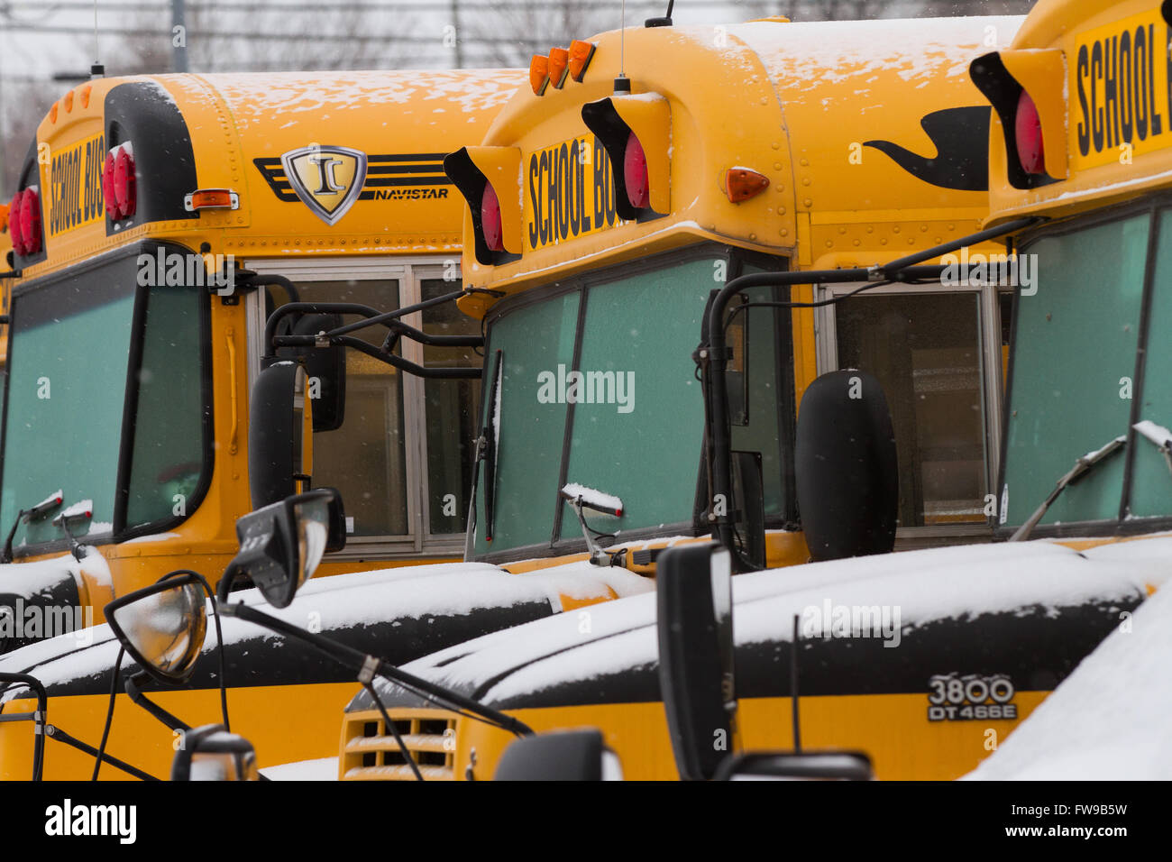 School bus with snow and freezing rain on it in Kingston, Ont., on Feb ...
