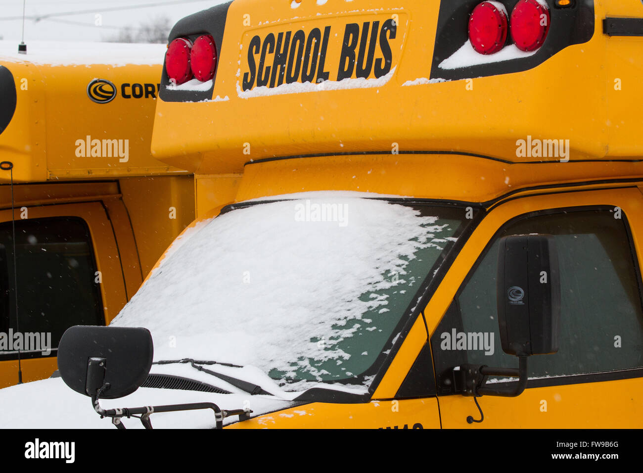 School bus with snow and freezing rain on it in Kingston, Ont., on Feb ...