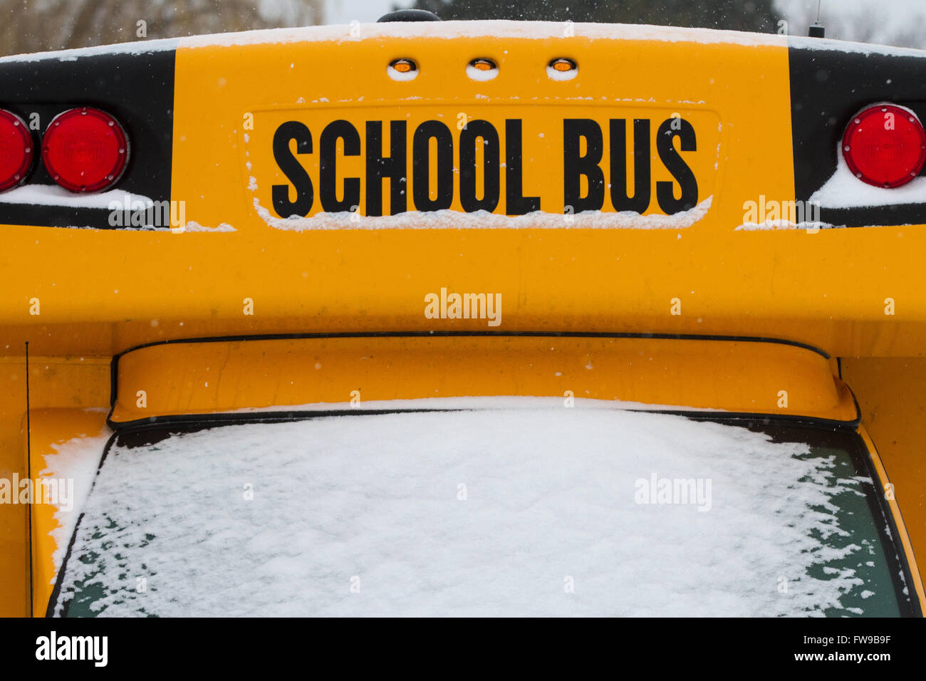 School bus with snow and freezing rain on it in Kingston, Ont., on Feb ...