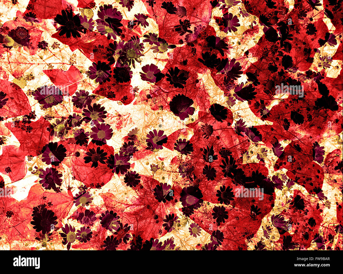 Modern abstract graphic design digital art creative concept Stock Photo ...