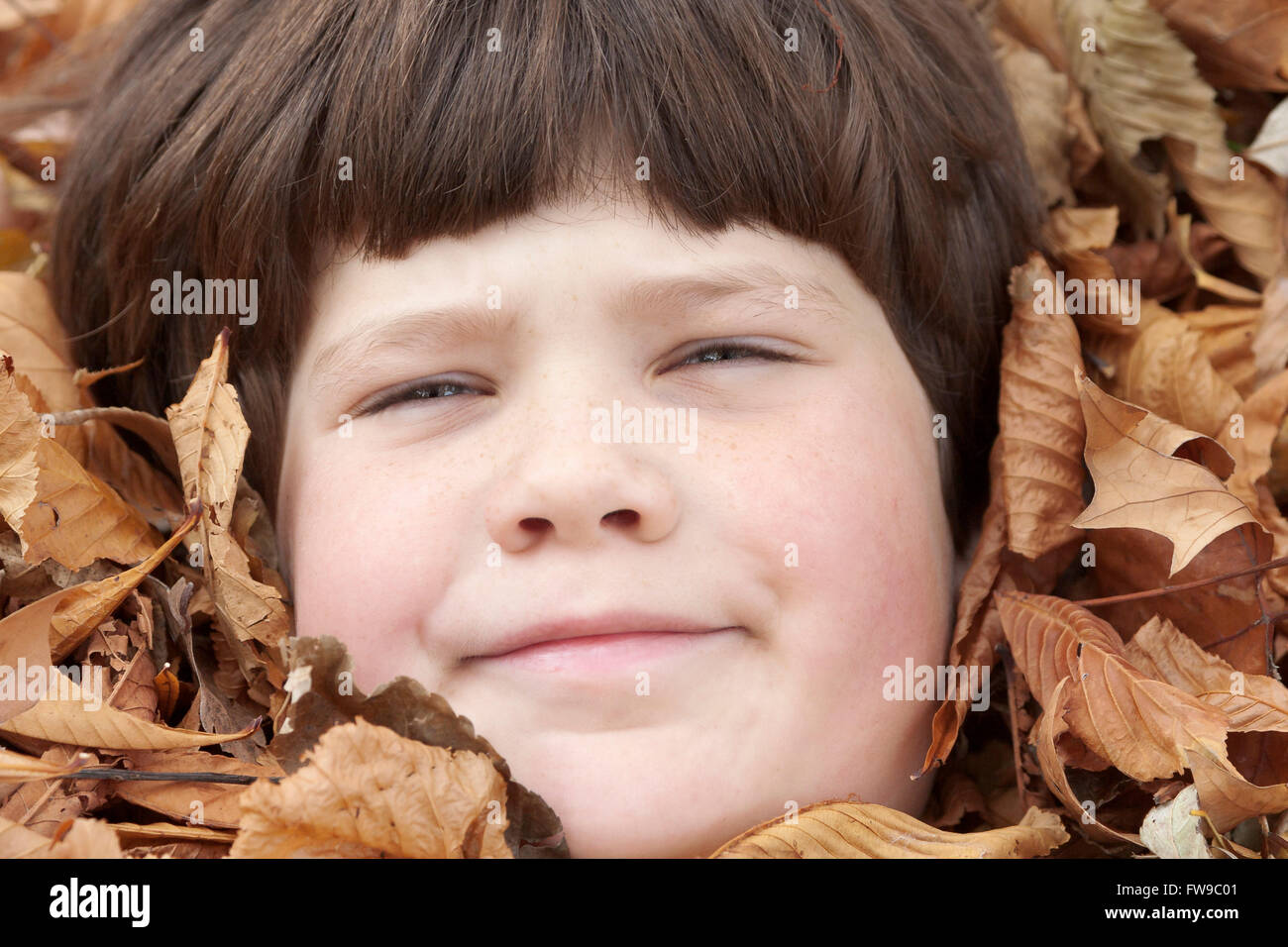 Boy in autumn leaves, portrait Stock Photo - Alamy