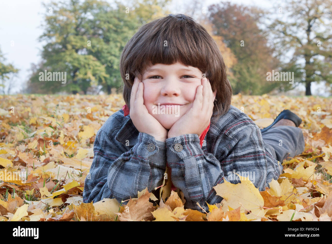 Little boy lying in autumn leaves Stock Photo - Alamy