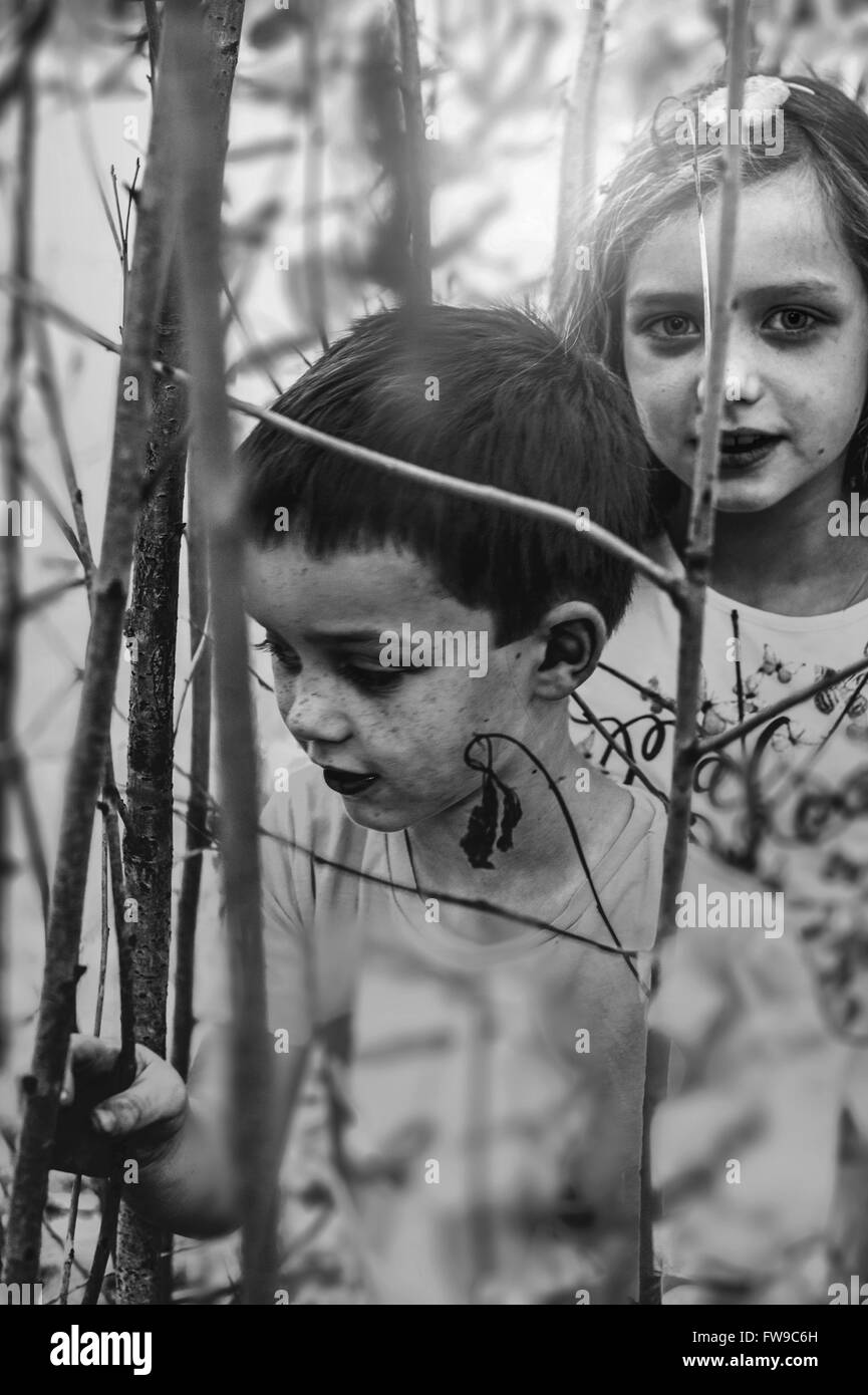 Bushes branches hi-res stock photography and images - Alamy