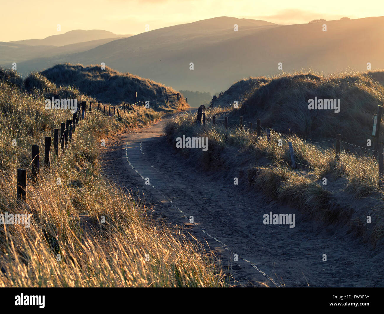 Photograph of a footpath running through sand dunes taken during early ...