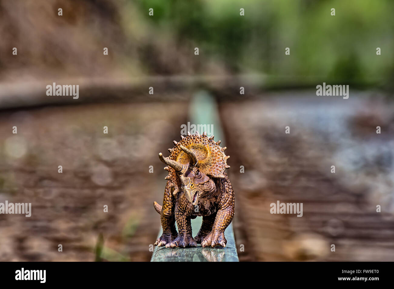 Lizard railroad track rail hi-res stock photography and images - Alamy