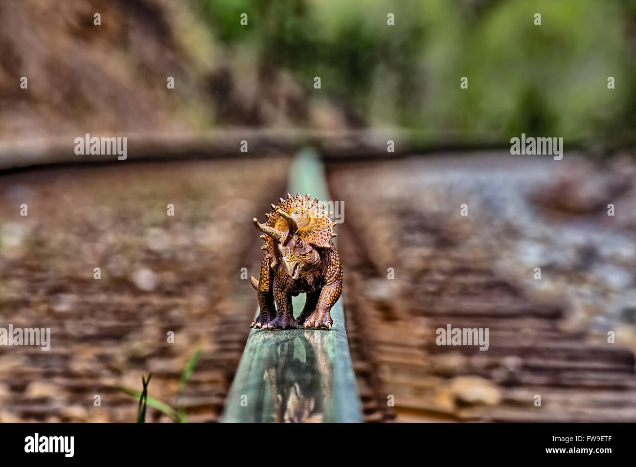 Lizard railroad track rail hi-res stock photography and images - Alamy