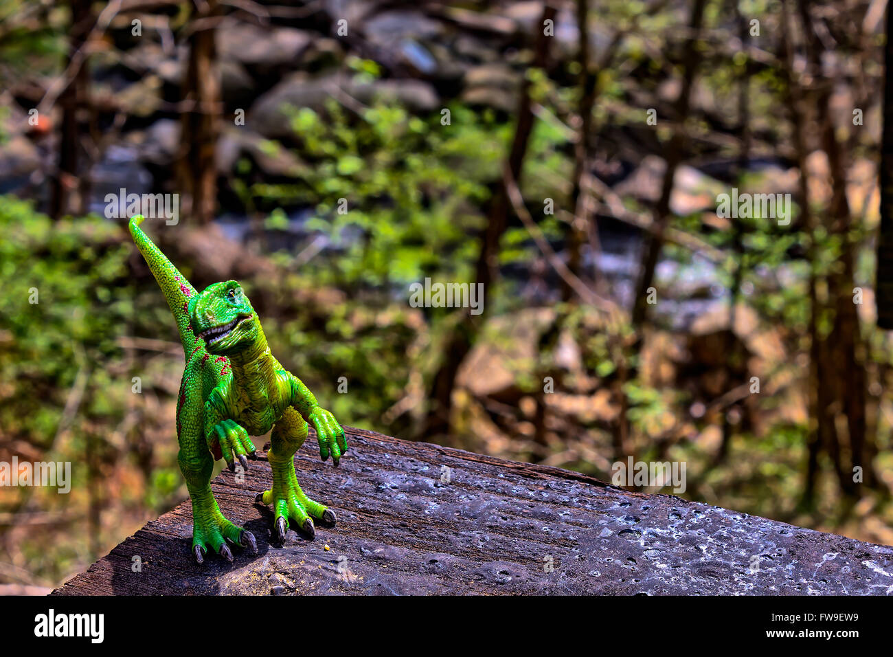 Green Velociraptor with woods in the background Stock Photo - Alamy