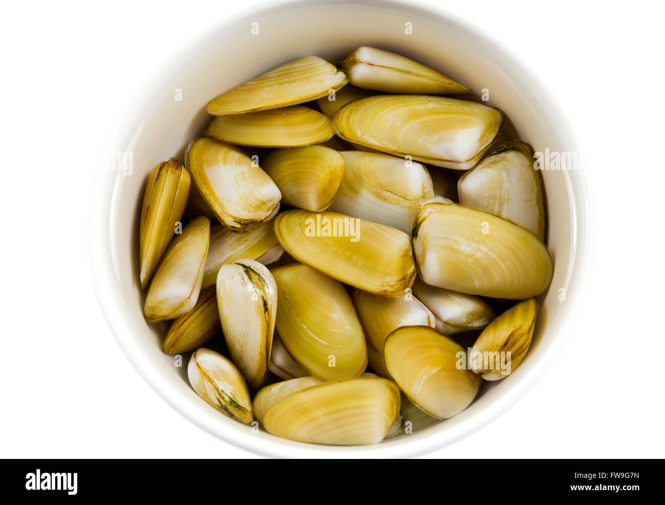 Edible bivalves hi-res stock photography and images - Alamy