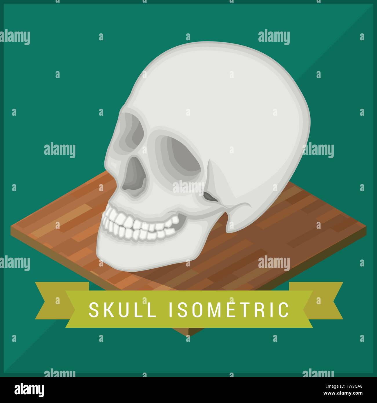 Isometric anatomy concept human hi-res stock photography and images - Alamy