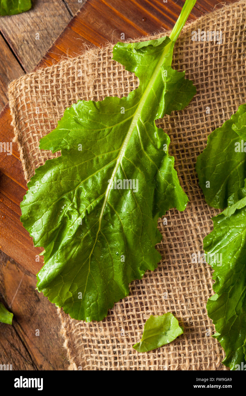Turnip greens hi-res stock photography and images - Alamy