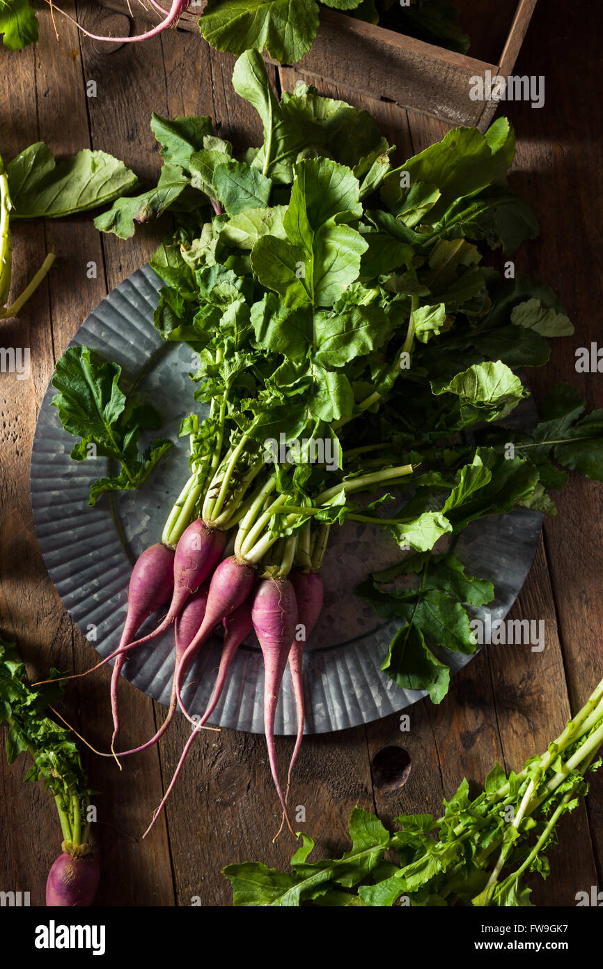 Raw Organic Purple Radishes Ready to Eat Stock Photo - Alamy