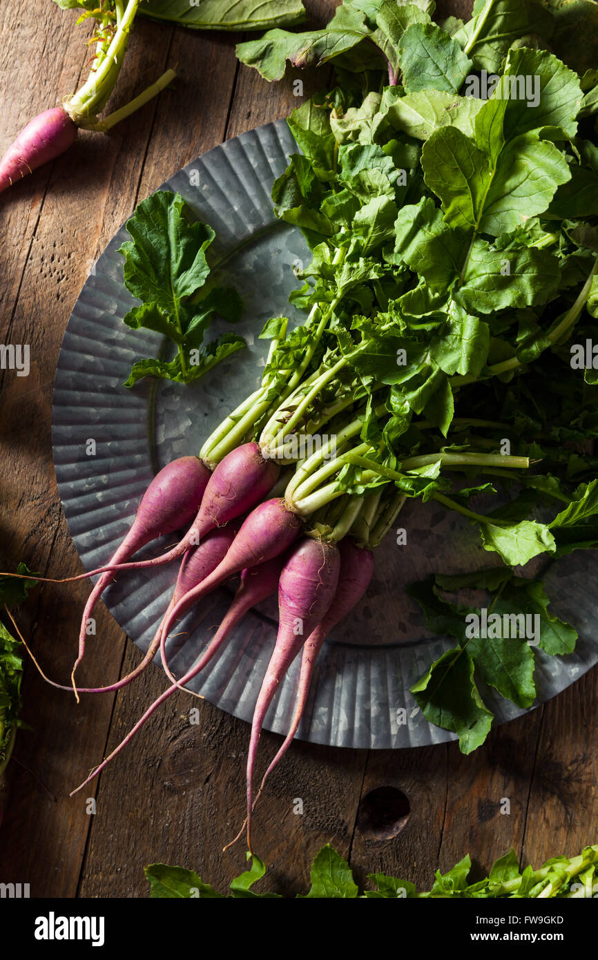 Raw Organic Purple Radishes Ready to Eat Stock Photo - Alamy
