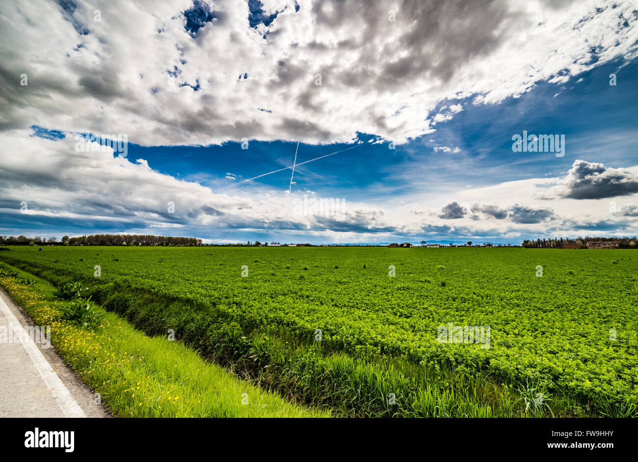 Green fields of the Po Valley in Romagna, Italy under a cloudy sky ...