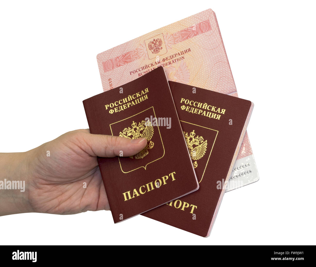 Hand with three russian passports on white background Stock Photo - Alamy