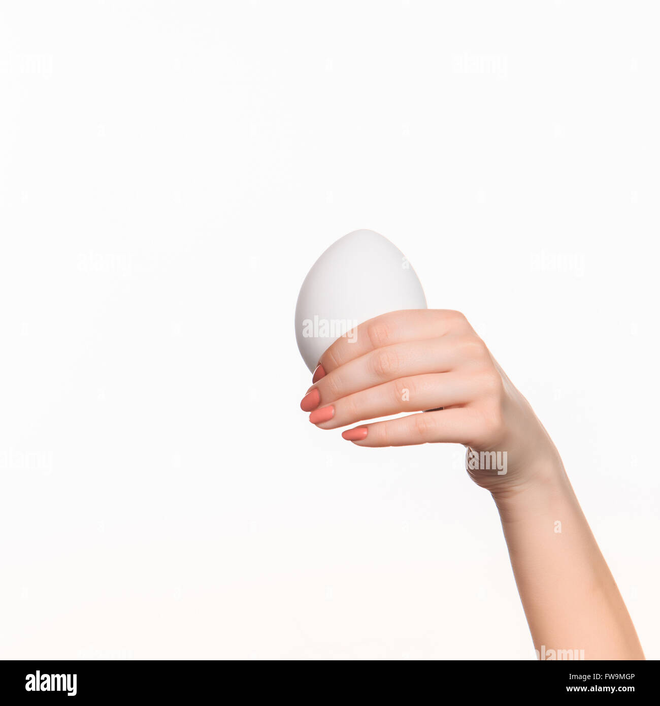 The female hand holding white blank styrofoam oval against the white ...