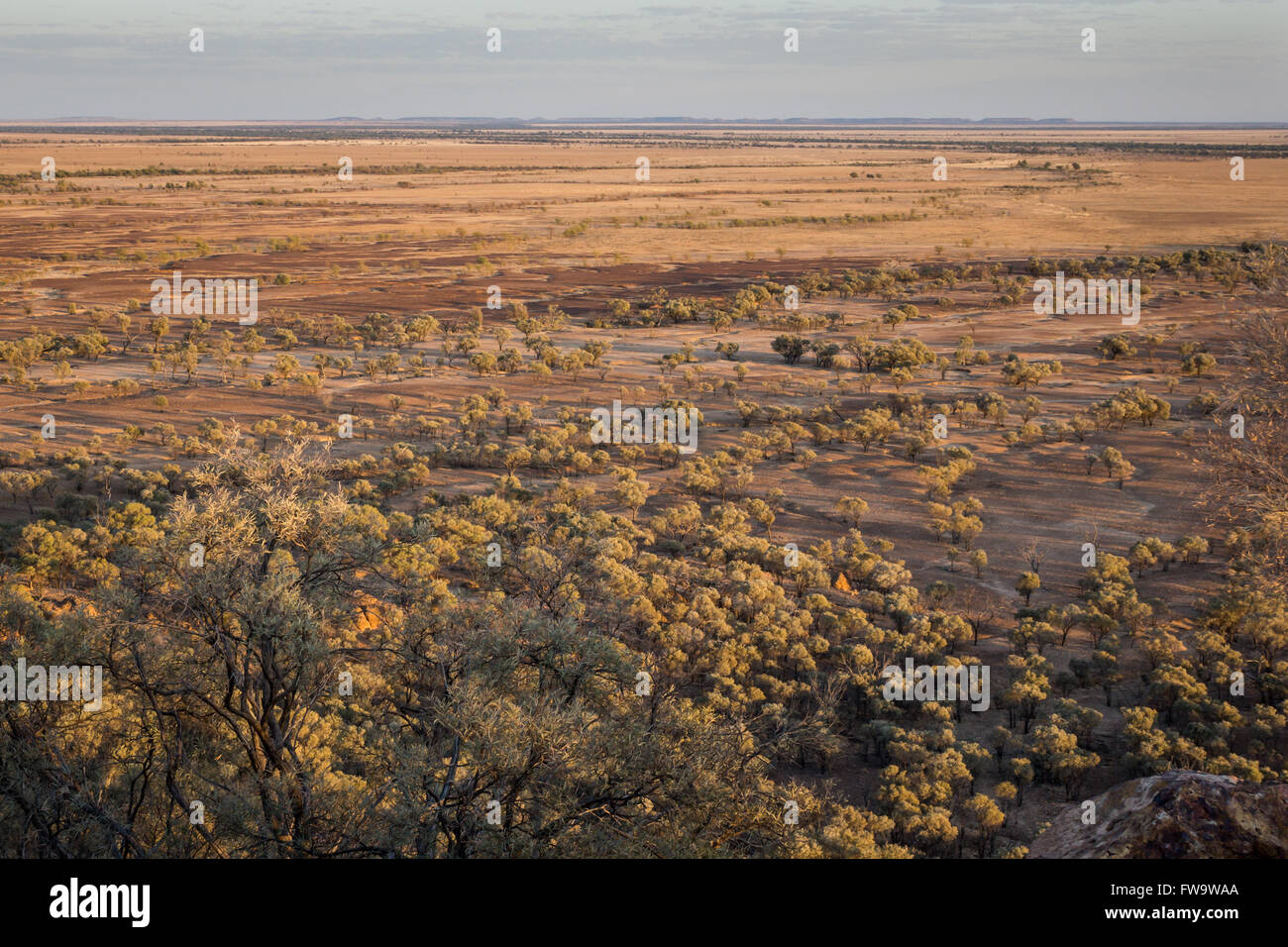 Australian outback in drought conditions, dry and dusty near Winton ...