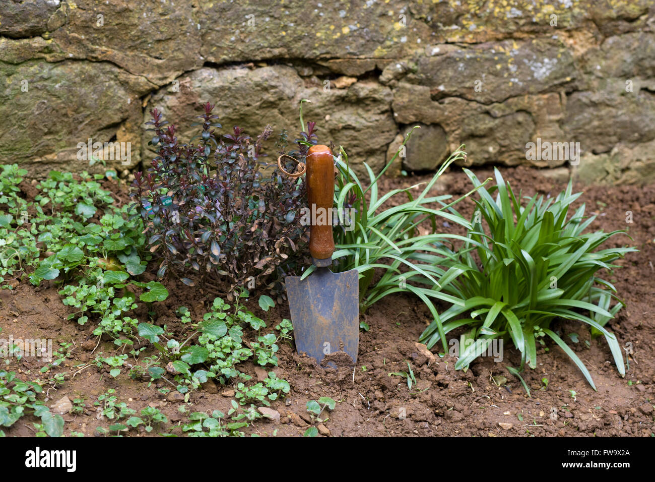 Digging the flower bed hi-res stock photography and images - Alamy