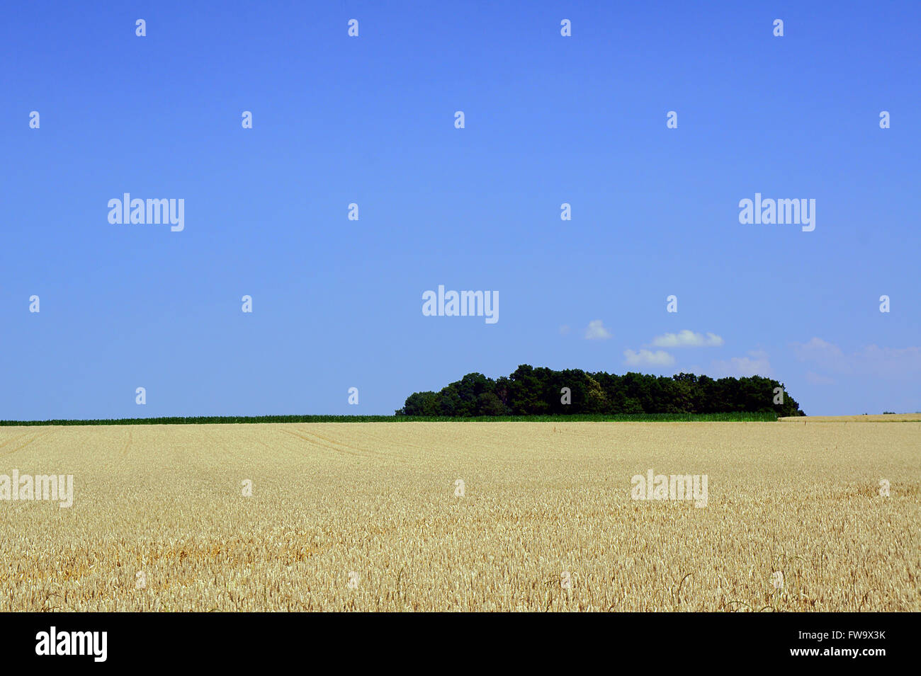 Village landscape champagne hi-res stock photography and images - Alamy