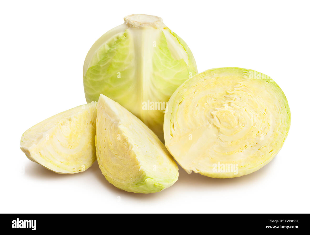Round cabbage leaf hi-res stock photography and images - Alamy