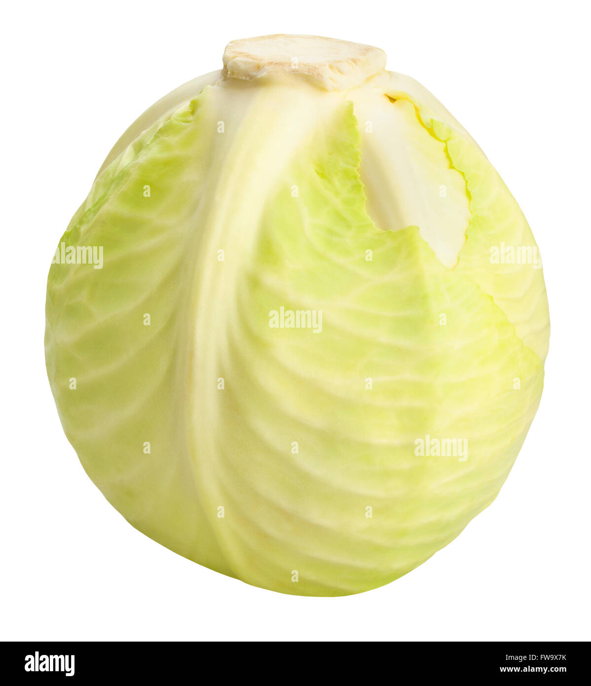 white cabbage isolated Stock Photo - Alamy