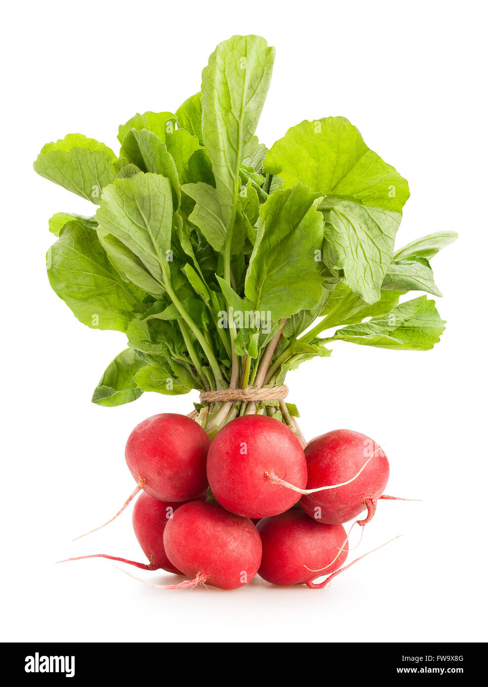 Bunch radish isolated hi-res stock photography and images - Alamy