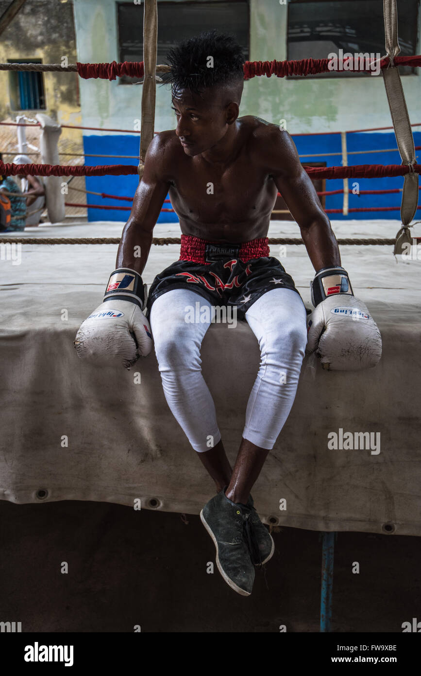 Havana, Cuba - September 22, 2015: Young boxers train in famous boxing ...