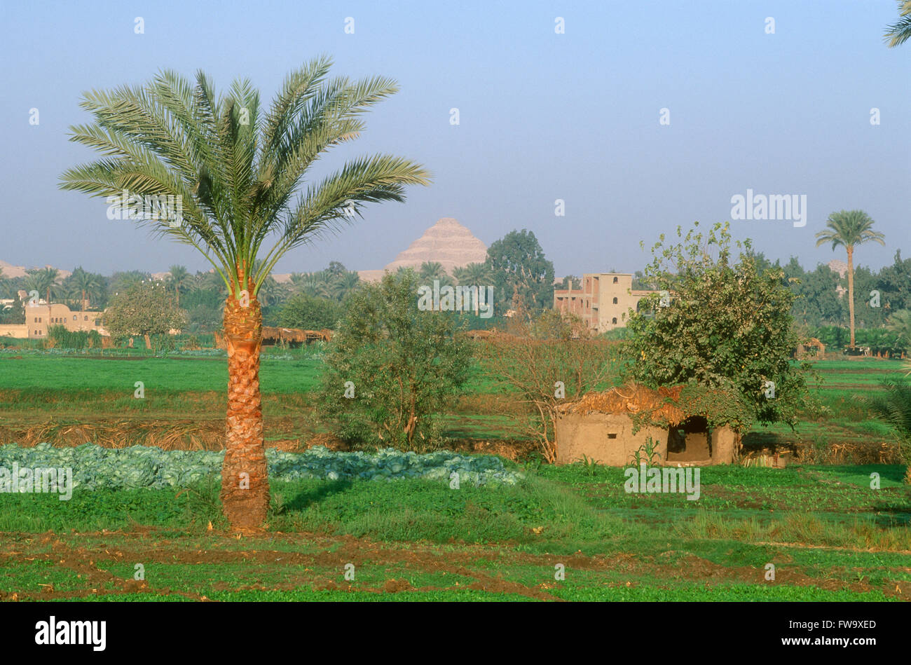 The river nile pyramid hi-res stock photography and images - Alamy