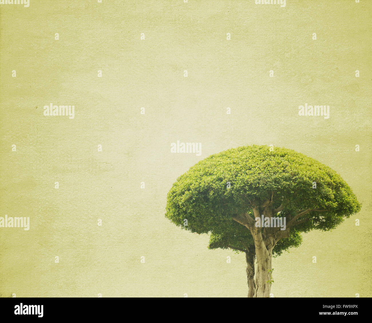 Paper grass texture hi-res stock photography and images - Alamy