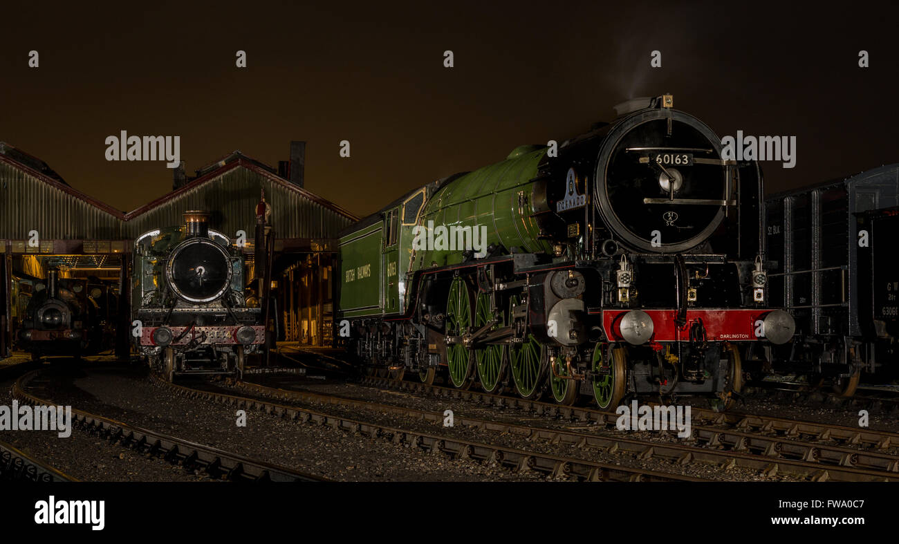 Tornado steam locomotive at night with Engine shed in background Stock ...