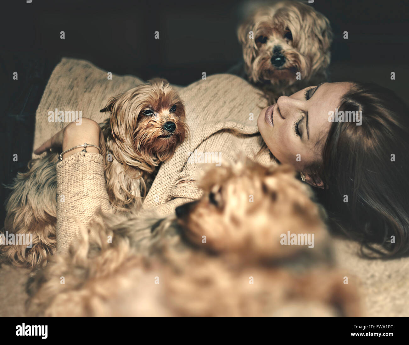 Woman with three dogs hi-res stock photography and images - Alamy