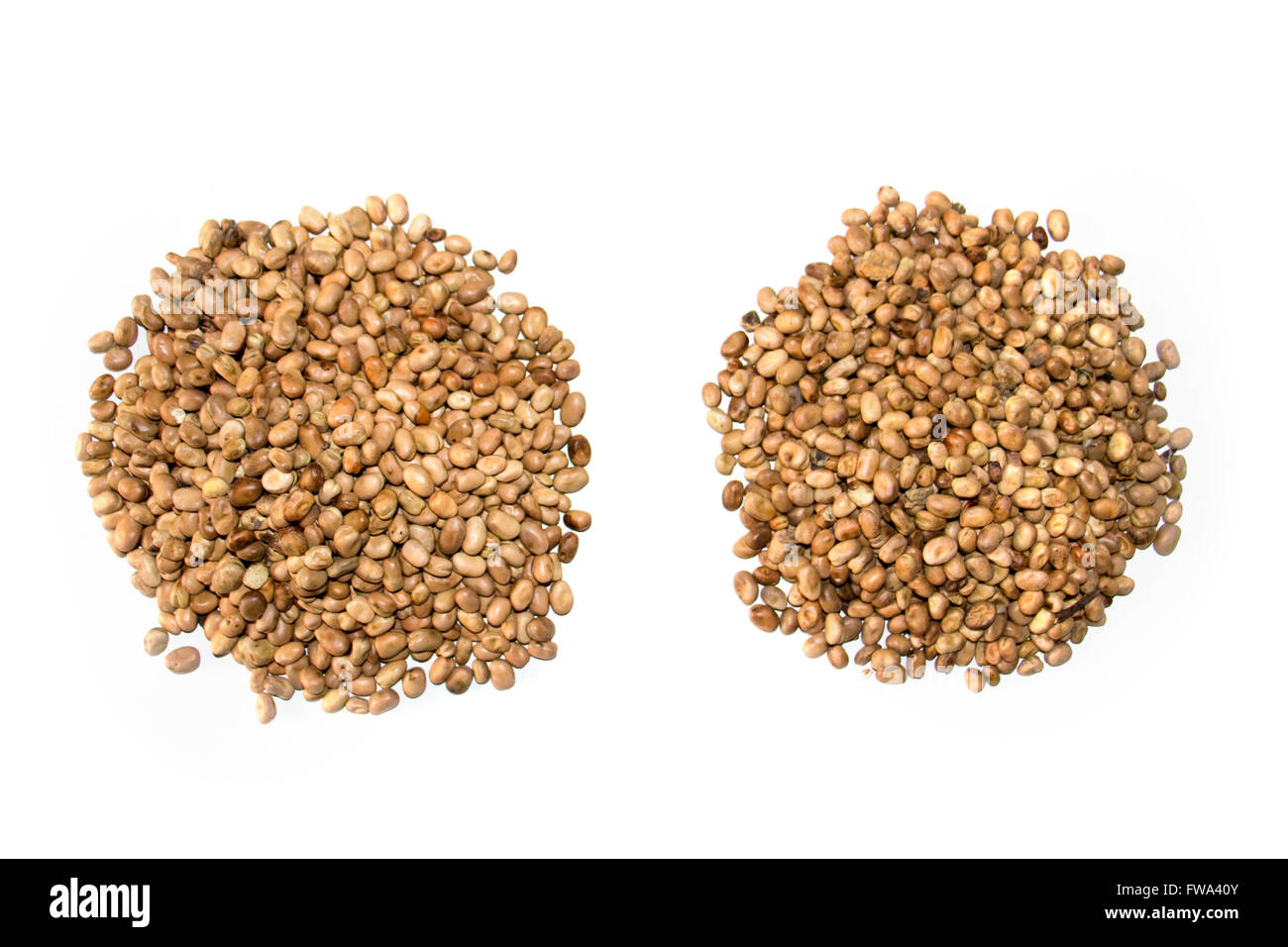 Field beans hi-res stock photography and images - Alamy