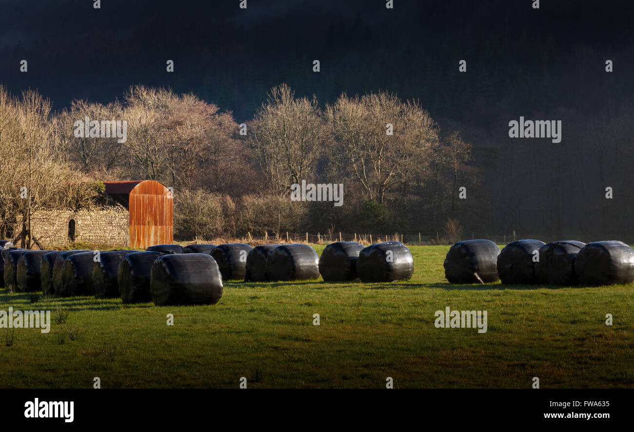 Black hay bales Stock Photo - Alamy