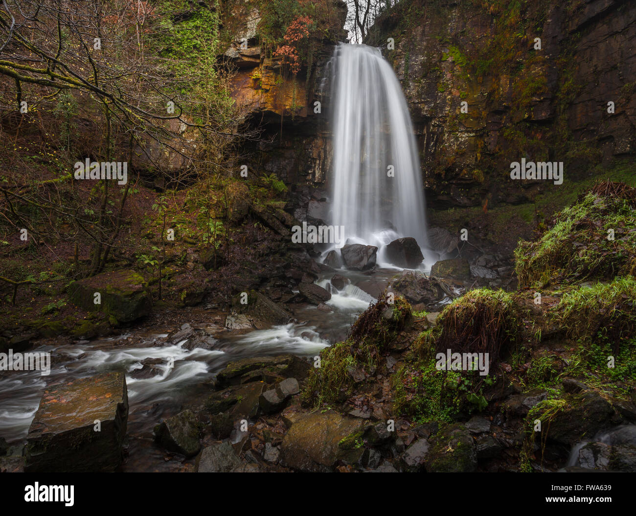 Mystical Melincourt waterfall Stock Photo - Alamy