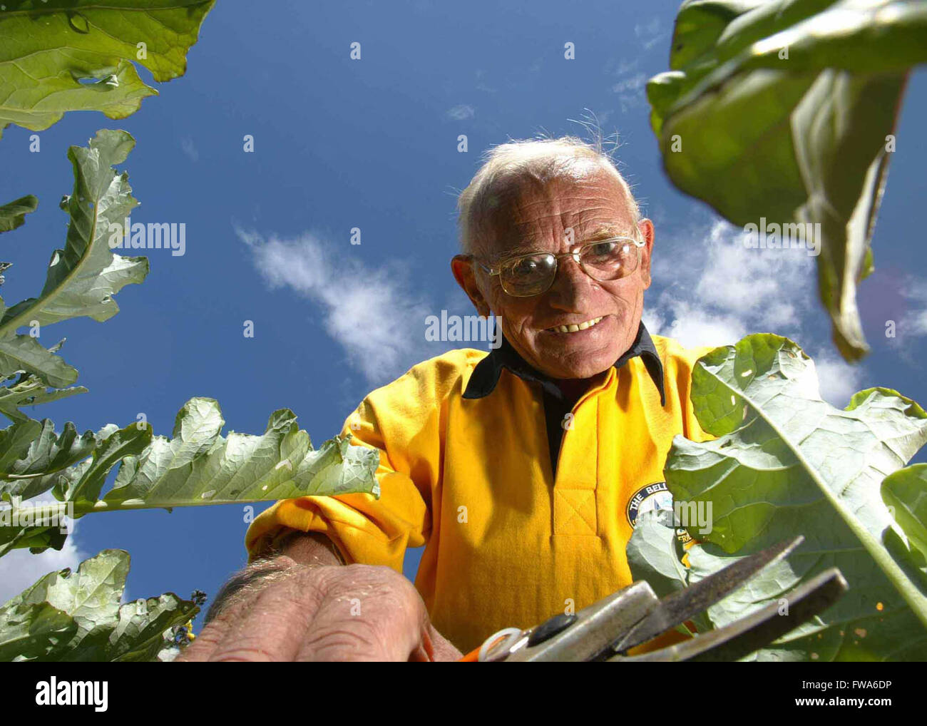 Old man gardening and enjoying retirement Stock Photo - Alamy