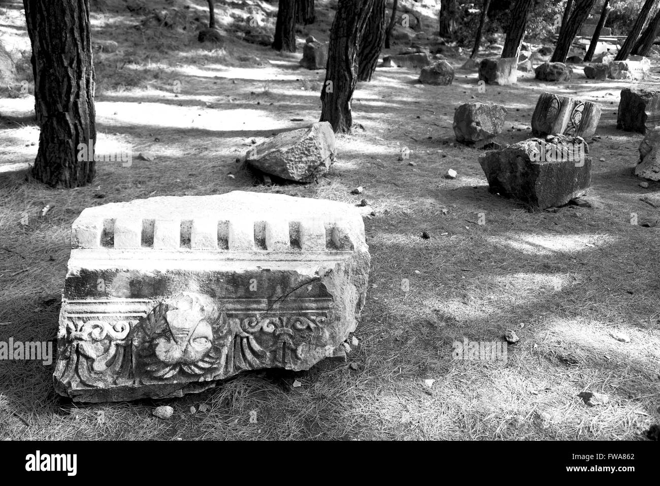 Destroyed column in black and white Black and White Stock Photos ...