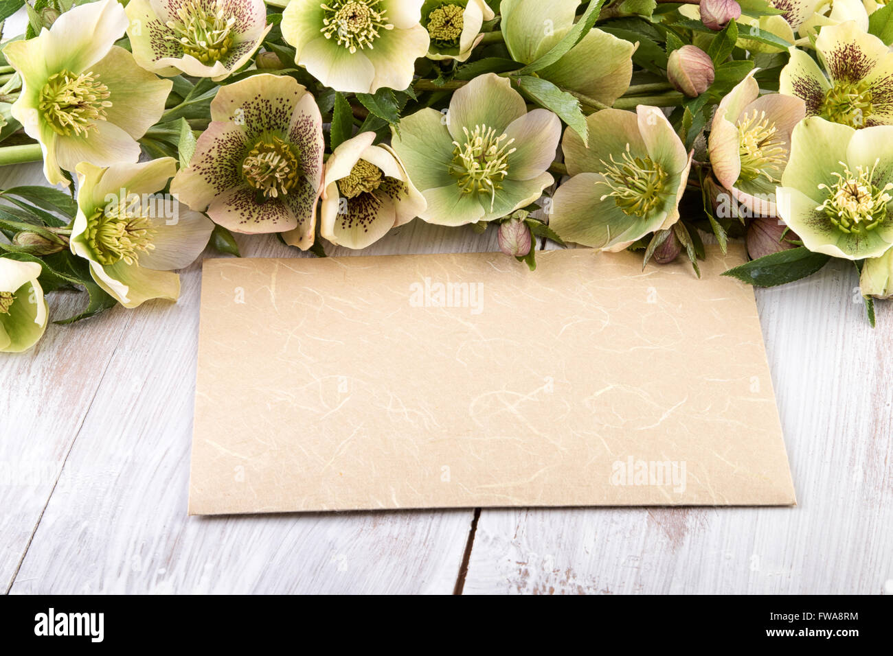 Wood pastel hi-res stock photography and images - Alamy