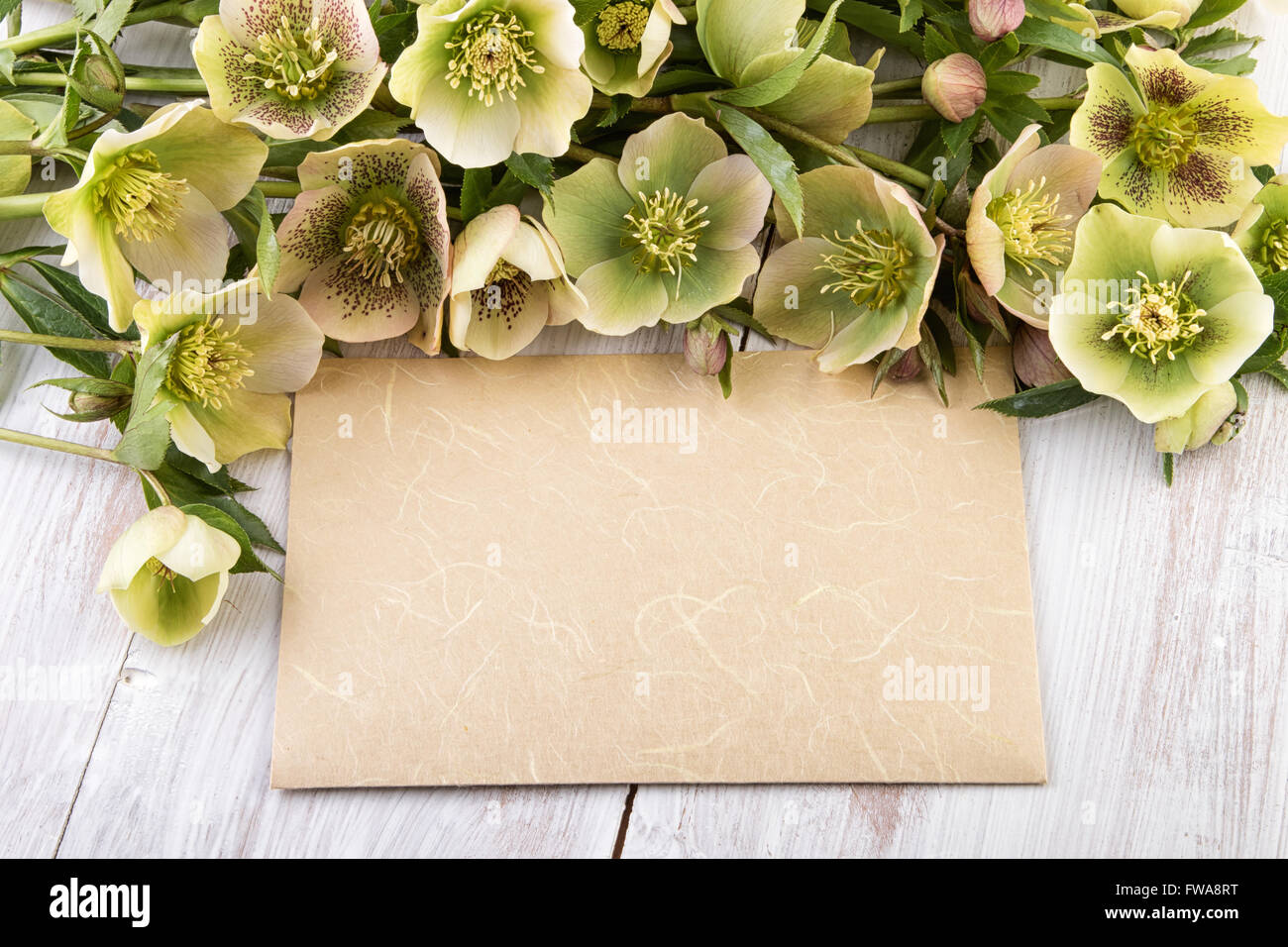 Easter card with spring flowers pastel color Stock Photo - Alamy