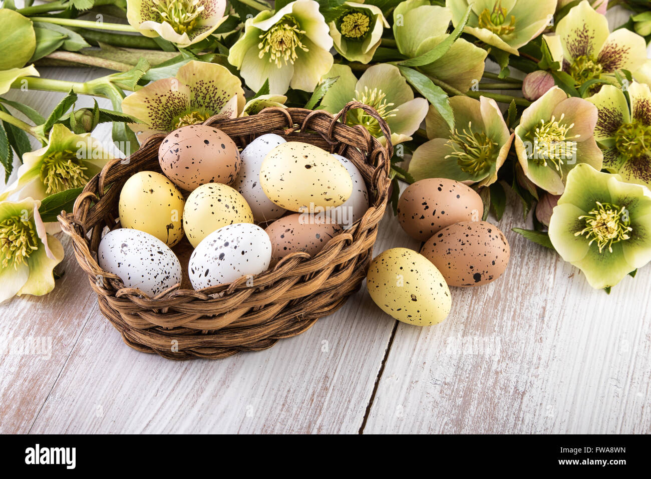 Spring flowers Easter eggs pastel color Stock Photo - Alamy