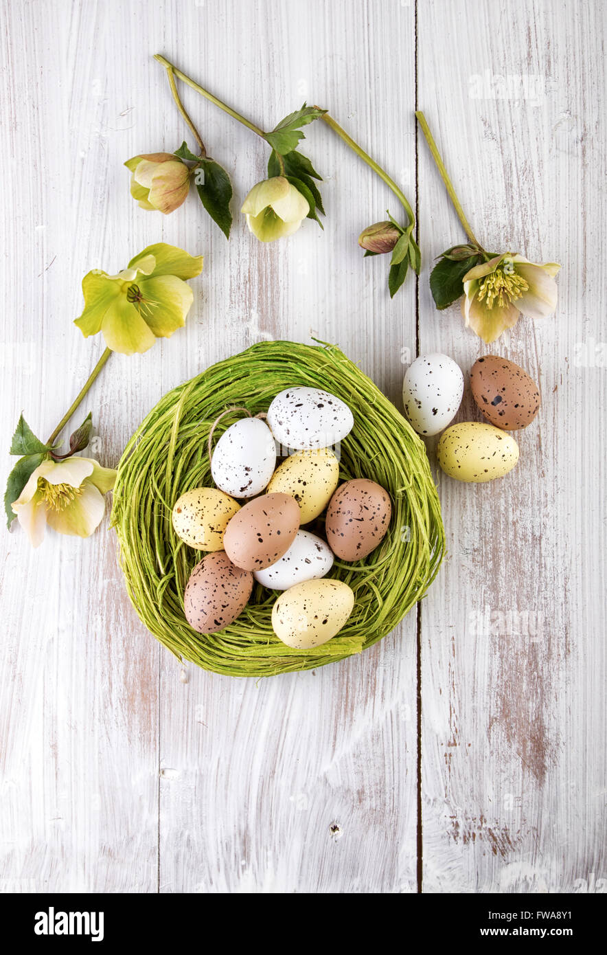 Easter pastel green eggs hi-res stock photography and images - Alamy