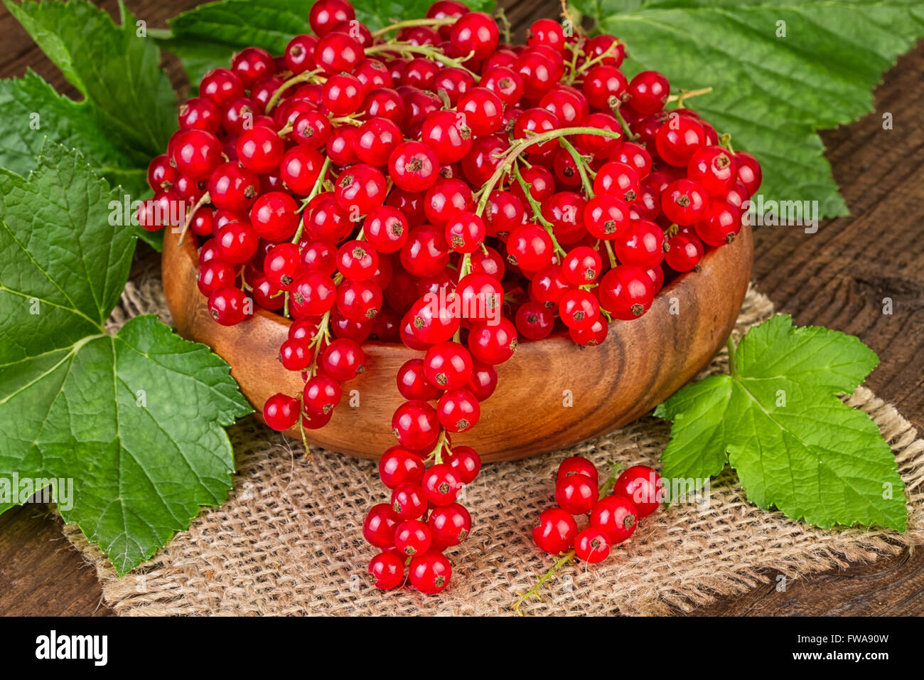 Currant leaf hi-res stock photography and images - Alamy