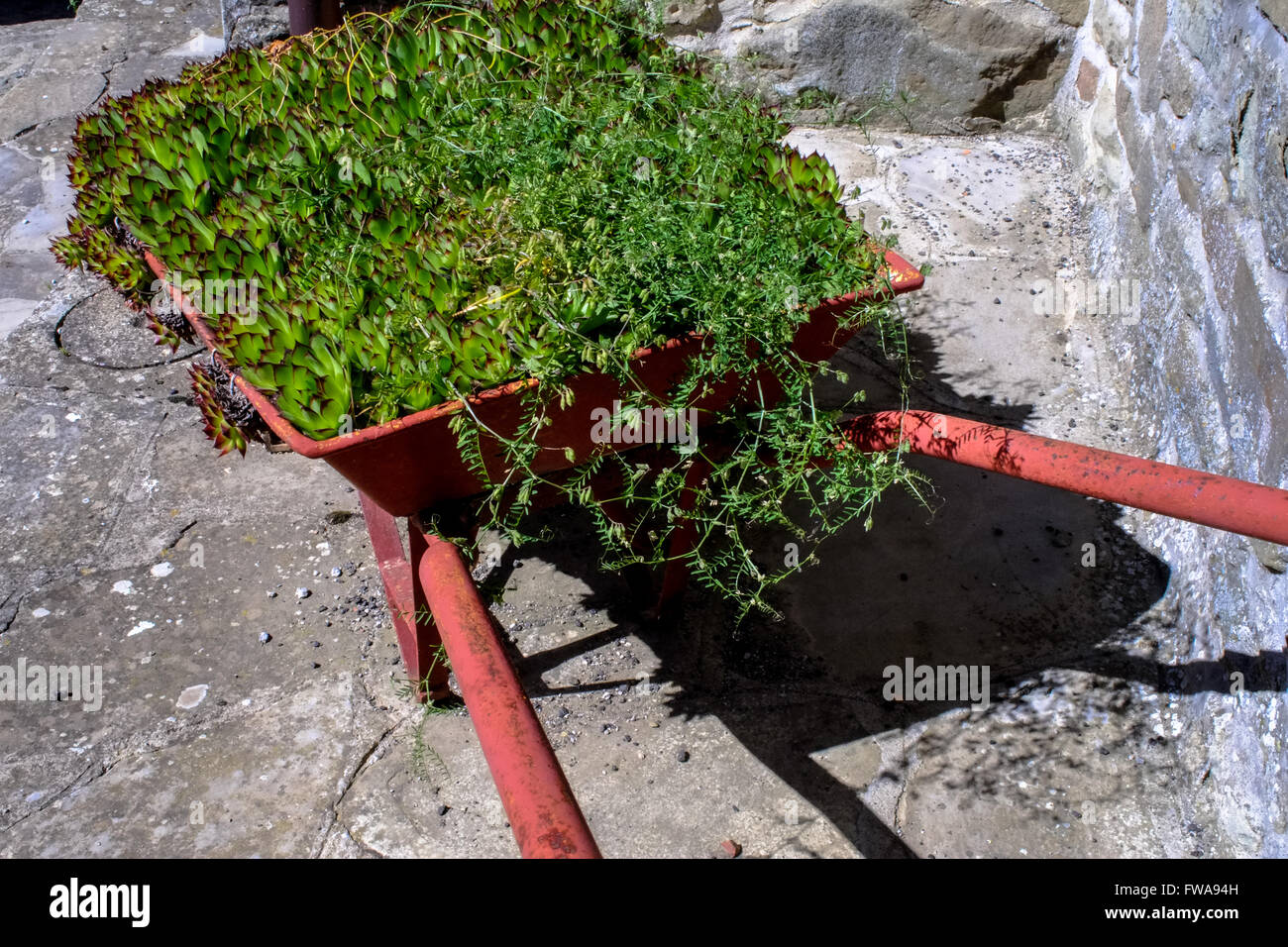 Tuscany tools used for years in agronomy to process and produce meal ...