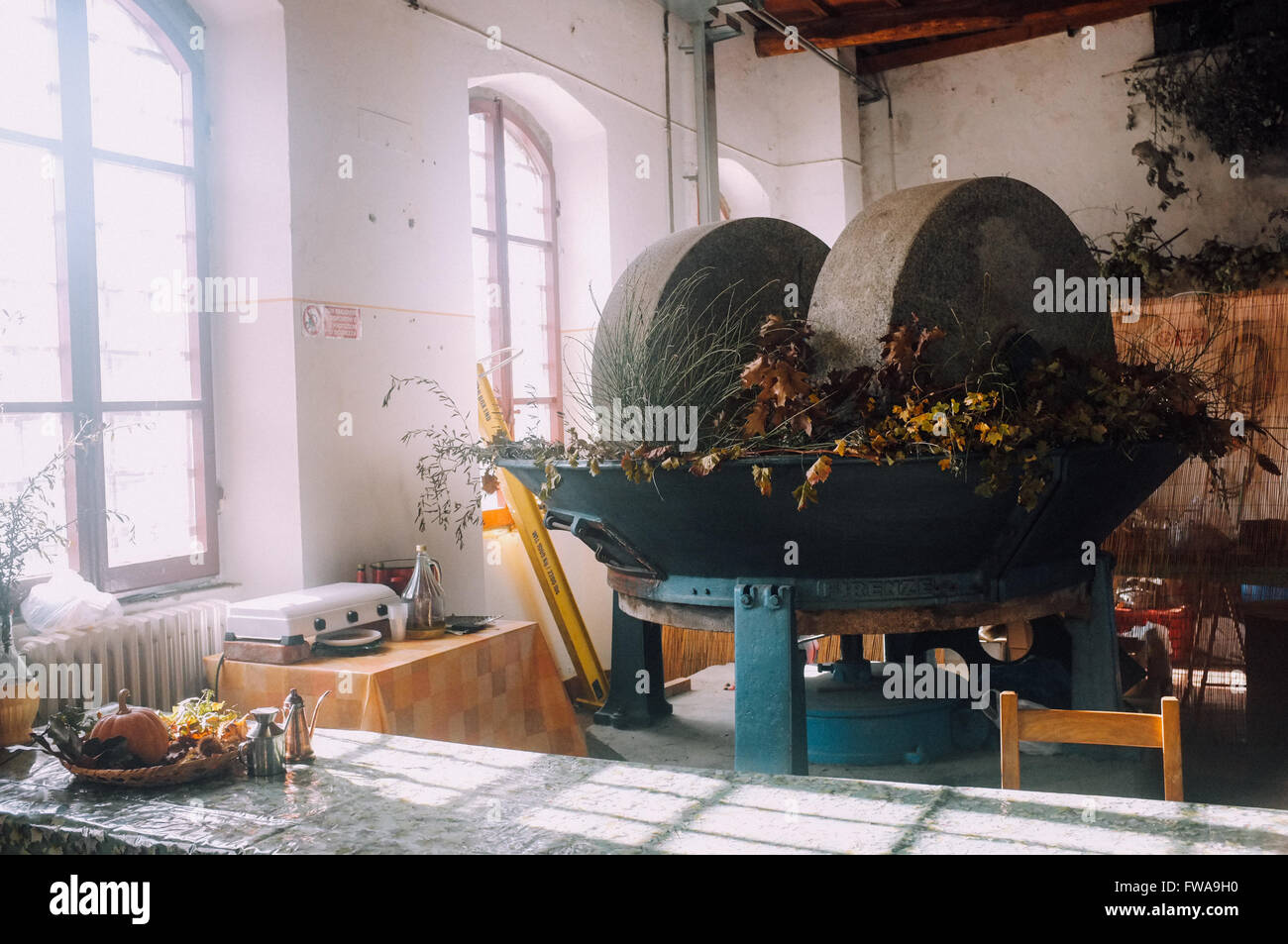 Tuscany olive oil process hi-res stock photography and images - Alamy