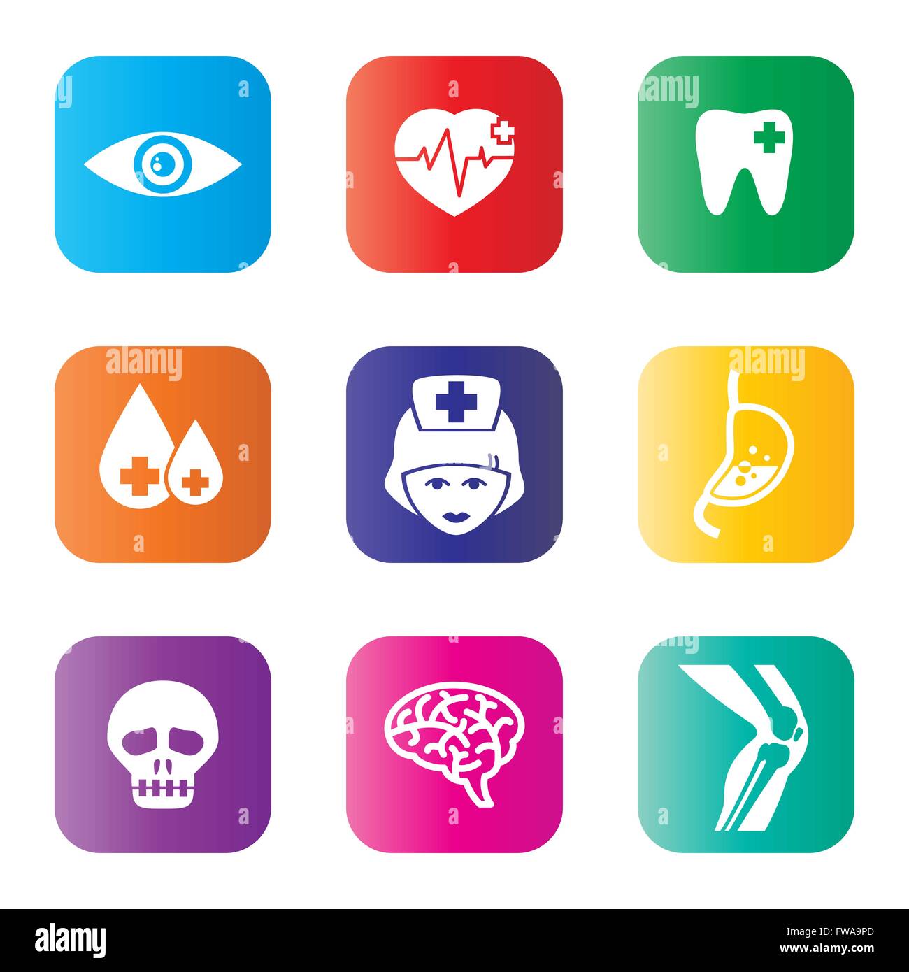 Knee bone color icon Stock Vector Images - Alamy