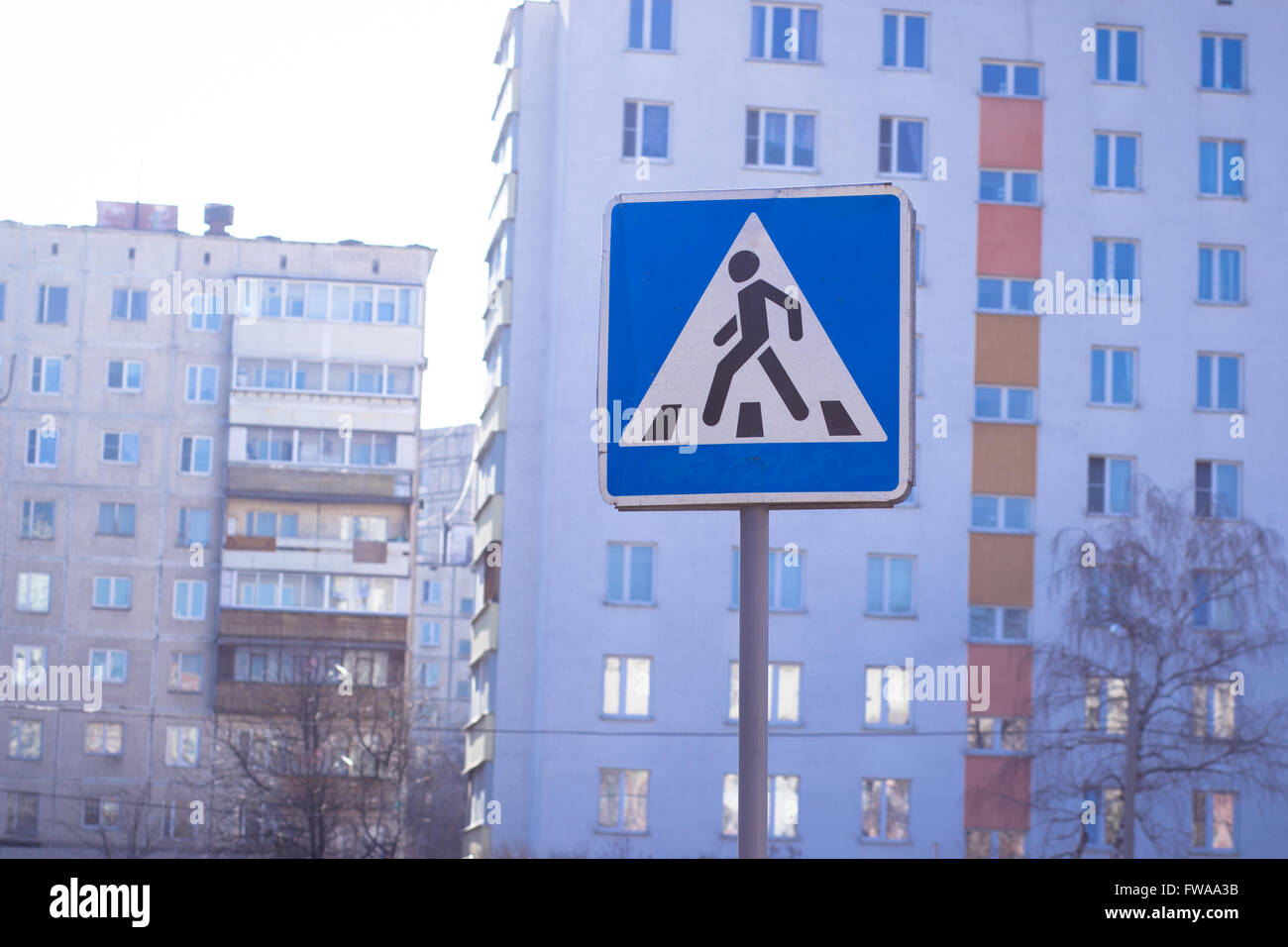 Blue pedestrian crosswalk sign on a street in front of houses Stock ...