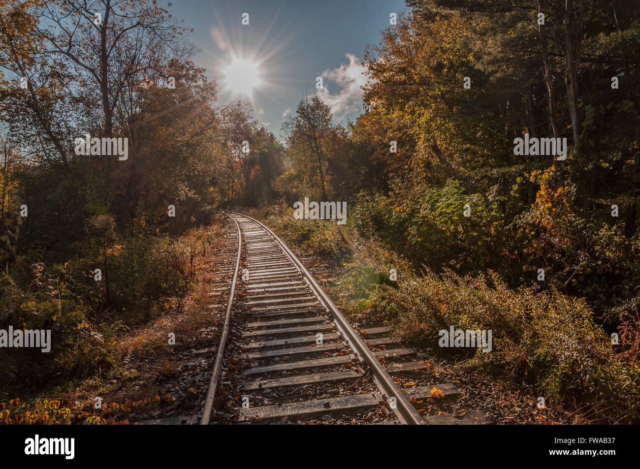 Railway Tracks between trees toward sun Stock Photo - Alamy
