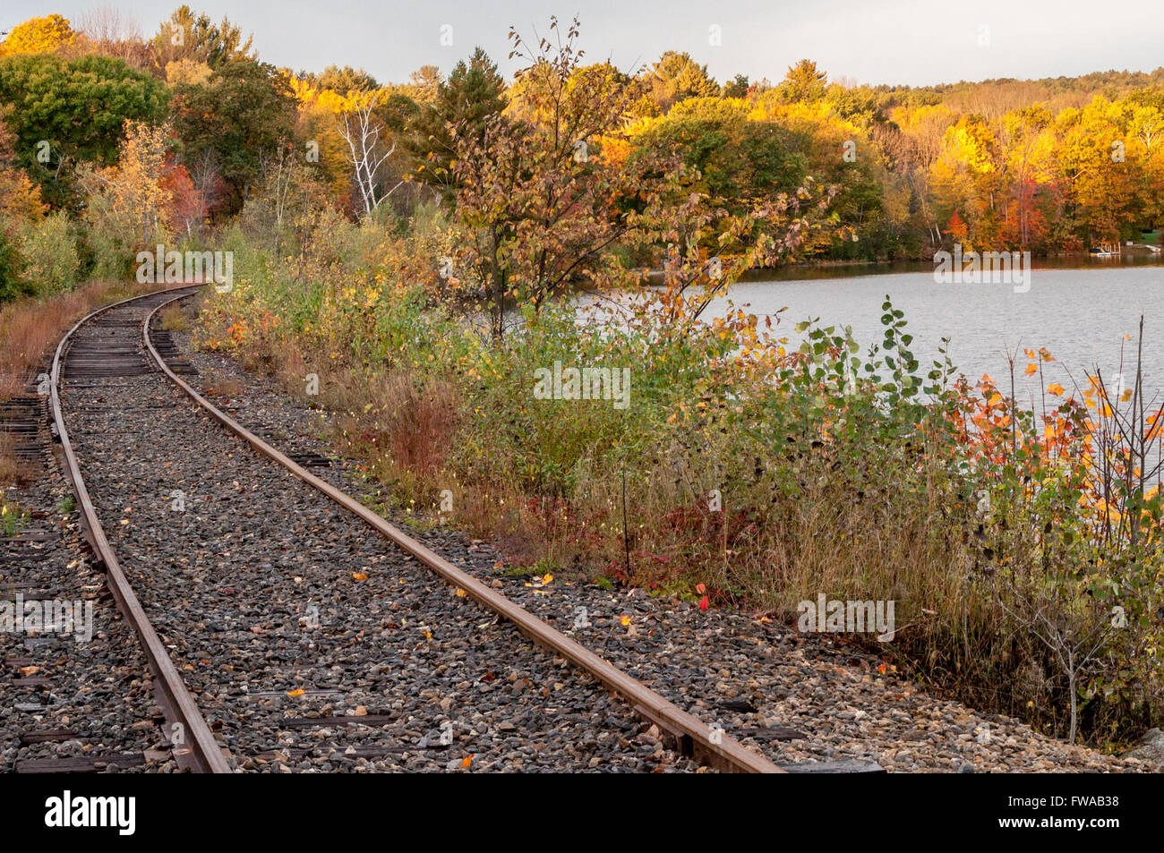 Railway Tracks between trees toward vibrant fall colors Stock Photo - Alamy